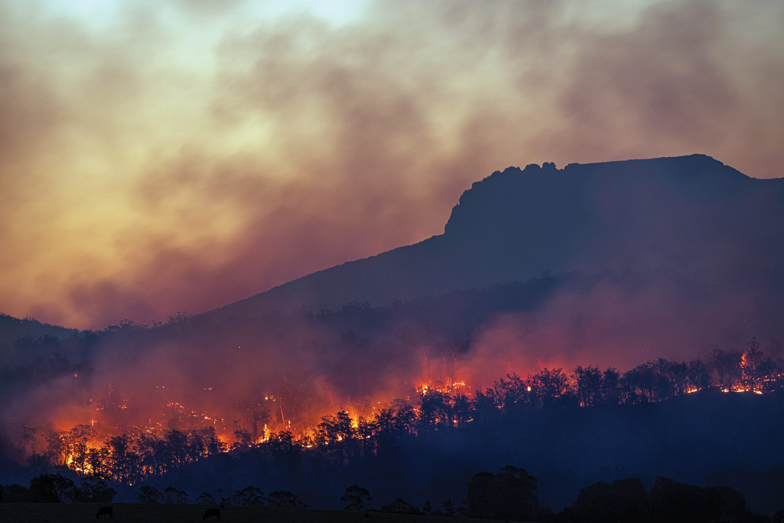Heat wave highlights need for local action on climate - The Carillon