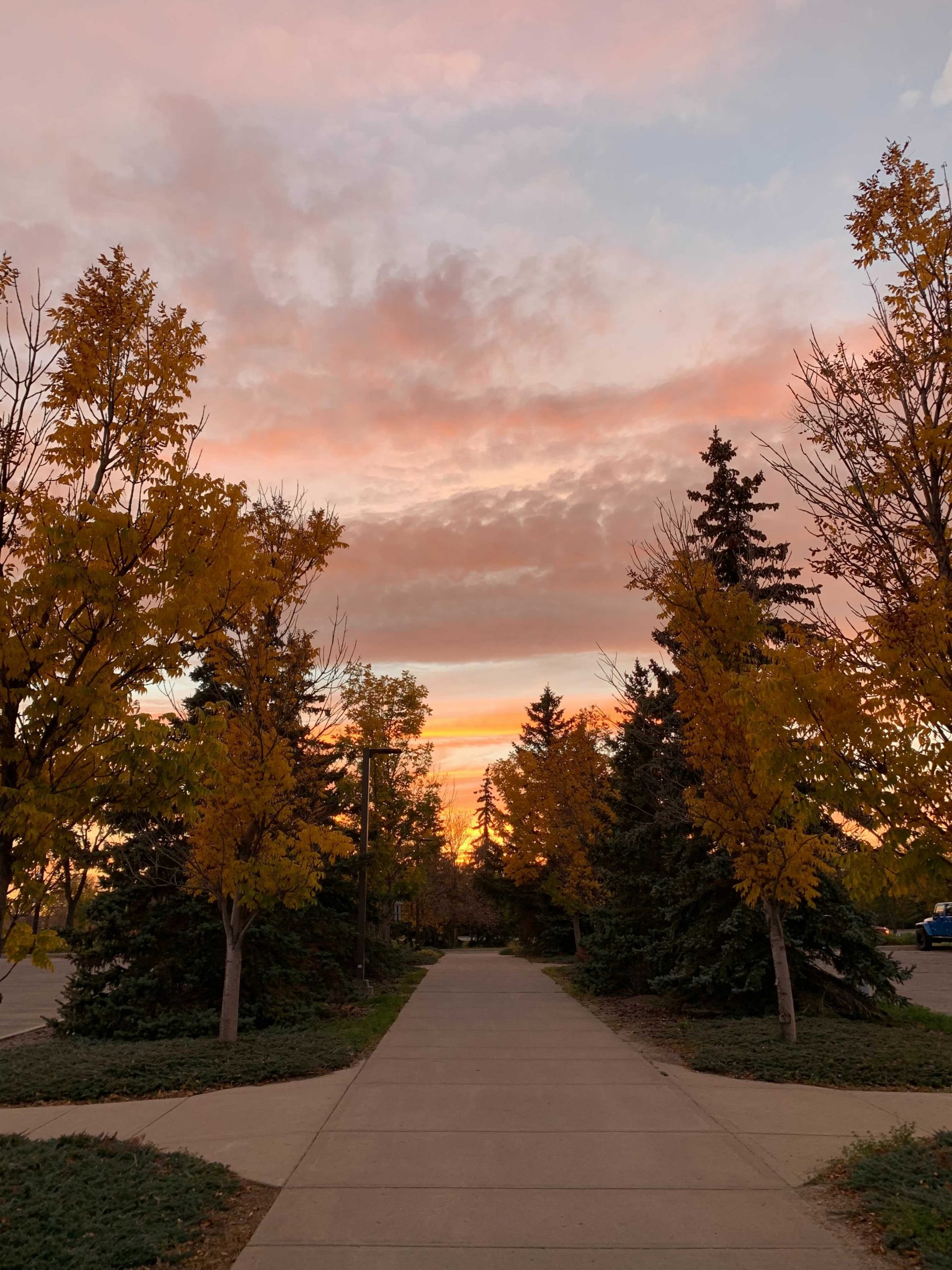 Toasty Sask fall brings both concern and relief – The Carillon