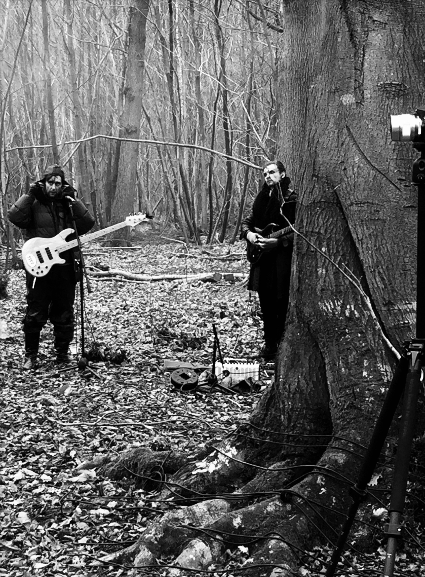 Album Review: Ruin – The Carillon