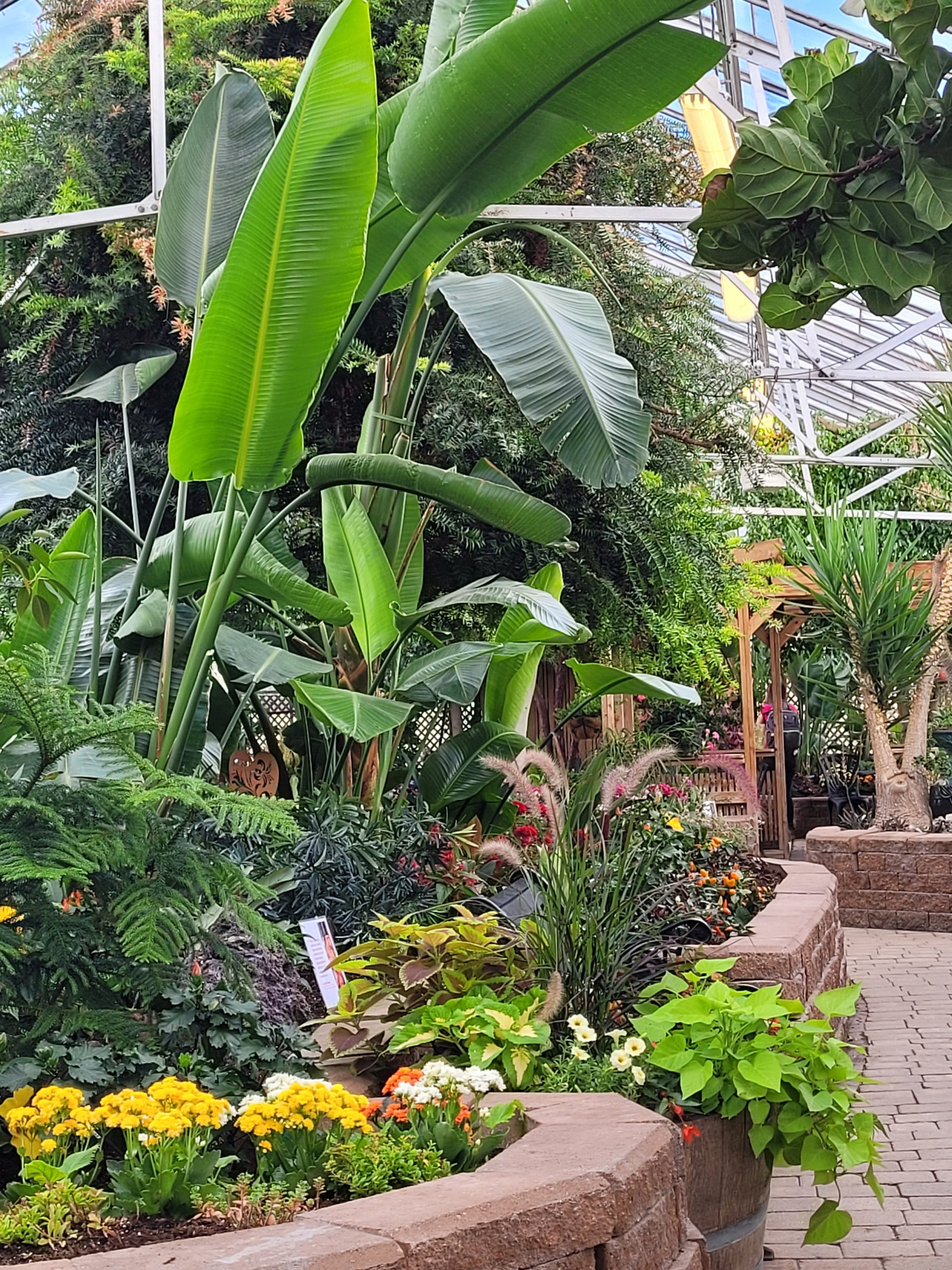 A look at the Regina Floral Conservatory – The Carillon