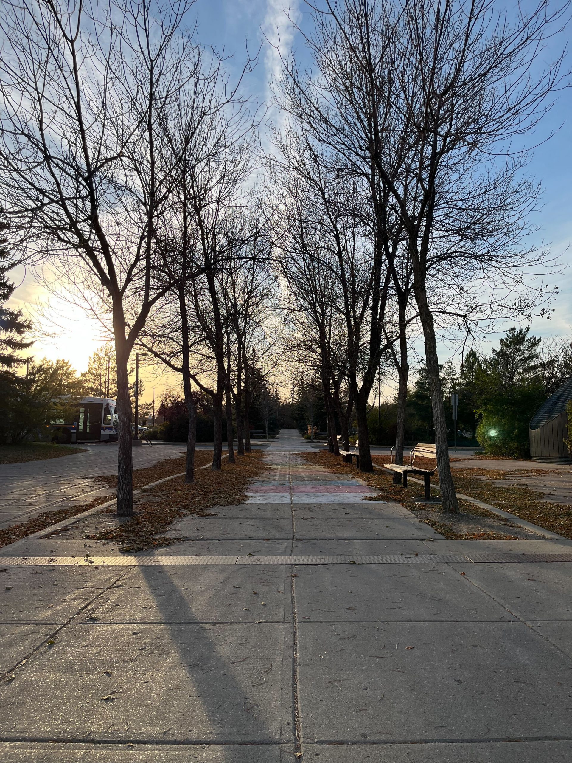 Preparing for the prairie winters – The Carillon