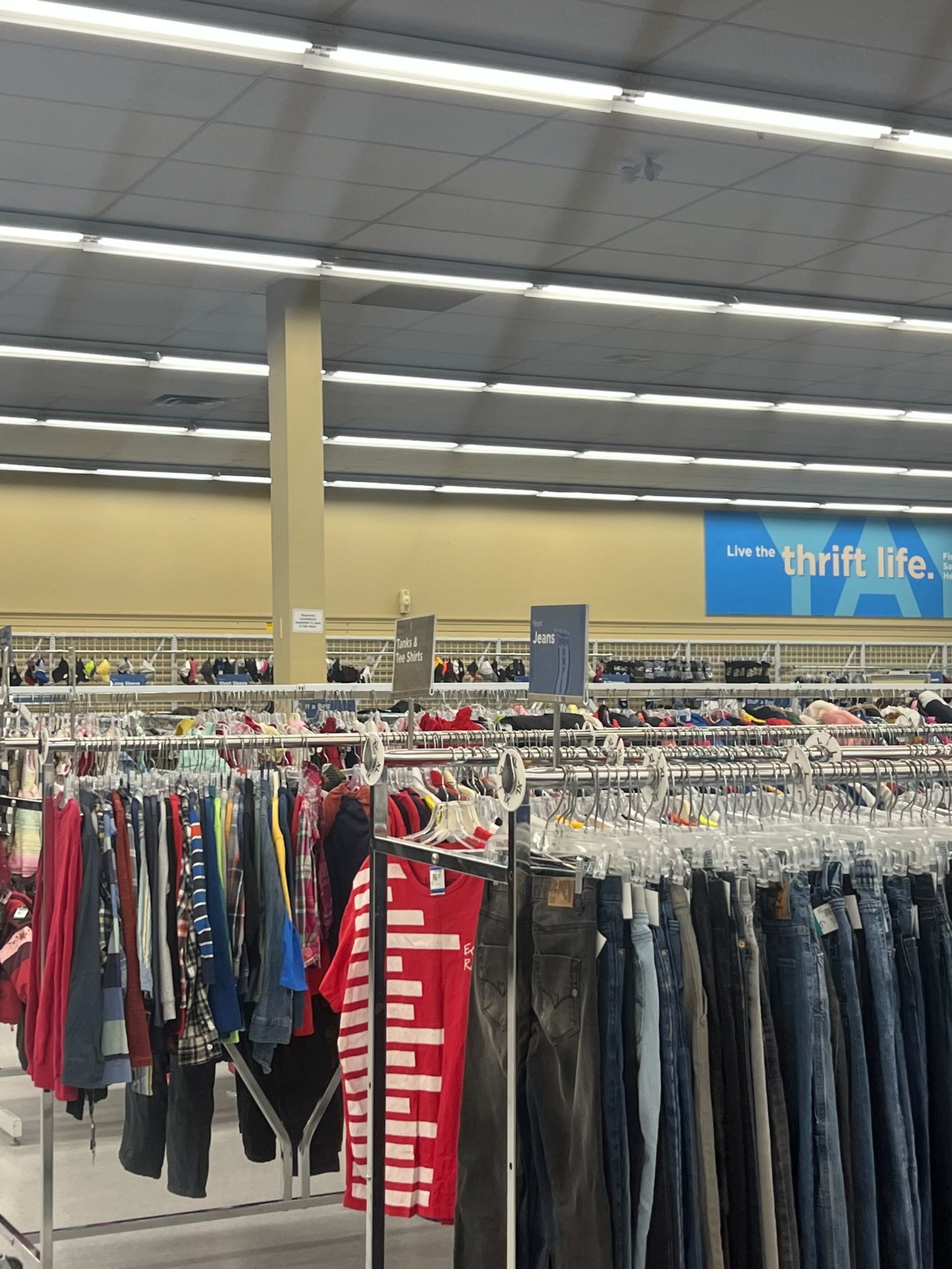 Get thee to a rag house! – The Carillon